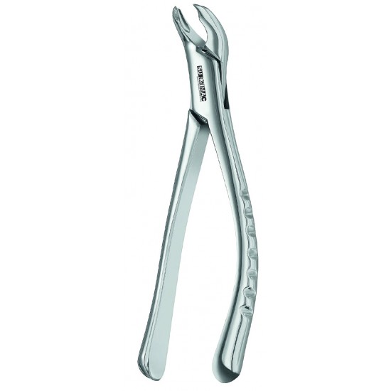 Extracting Forceps American Pattern Fig 210s Wellsprings Health